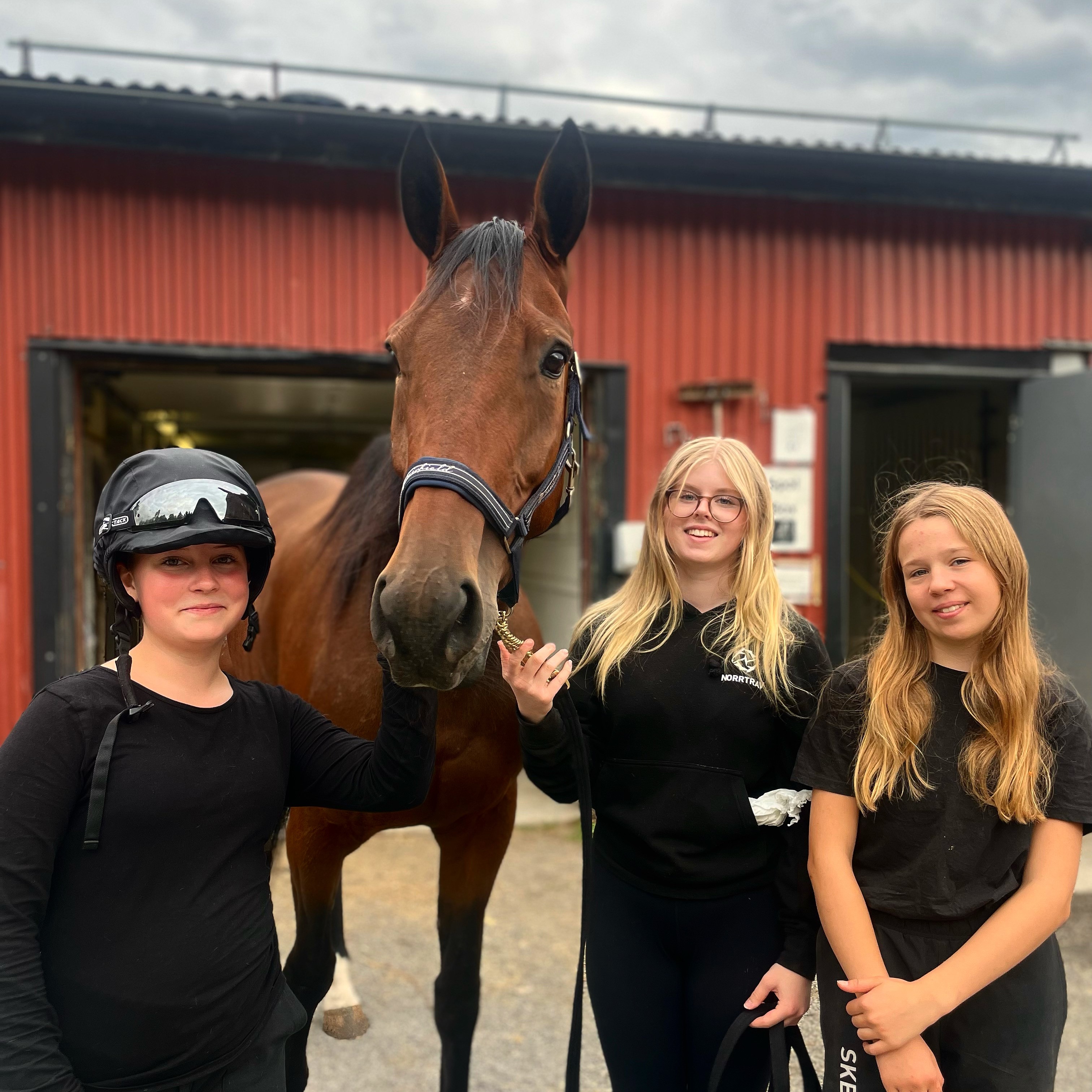 Stötta ungdomarna på Skellefteåtravet- bli delägare i travskolans ...